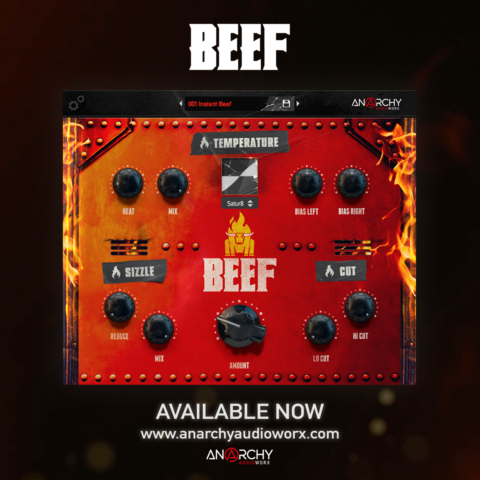 BEEF - Anarchy Audioworx